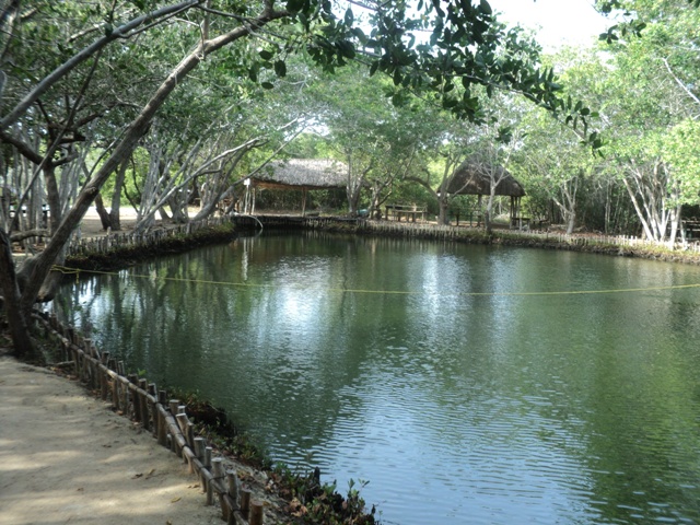 Reserva ecológica "El corchito"