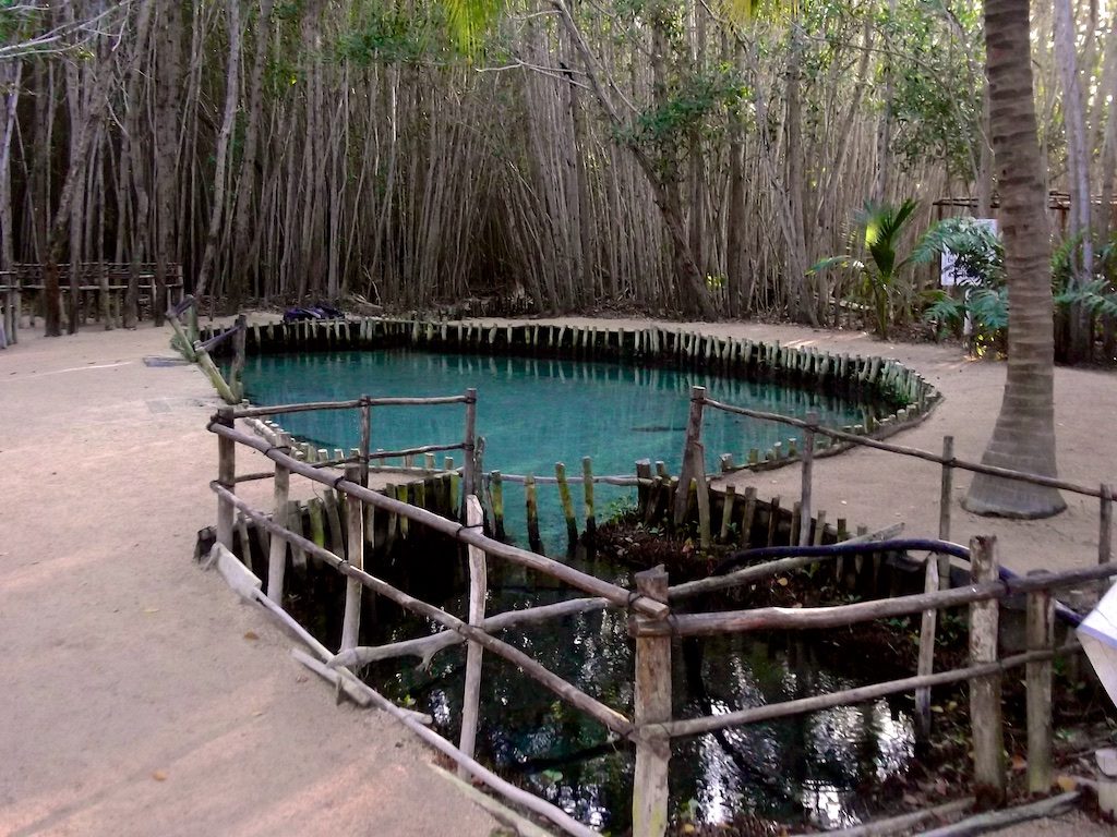 Reserva ecológica "El corchito"