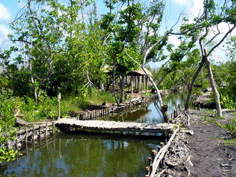 Reserva ecológica "El corchito"
