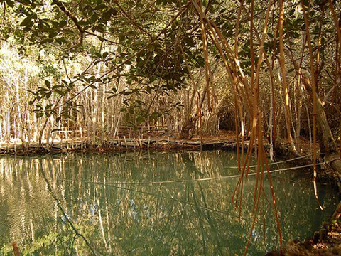 Reserva ecológica "El corchito"