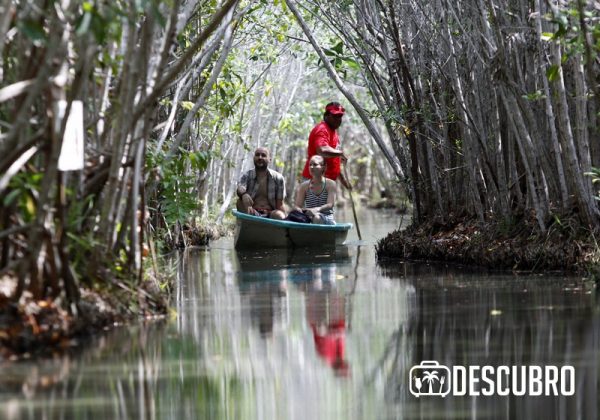 Conoce el puerto de San Crisanto una joya en Yucatán