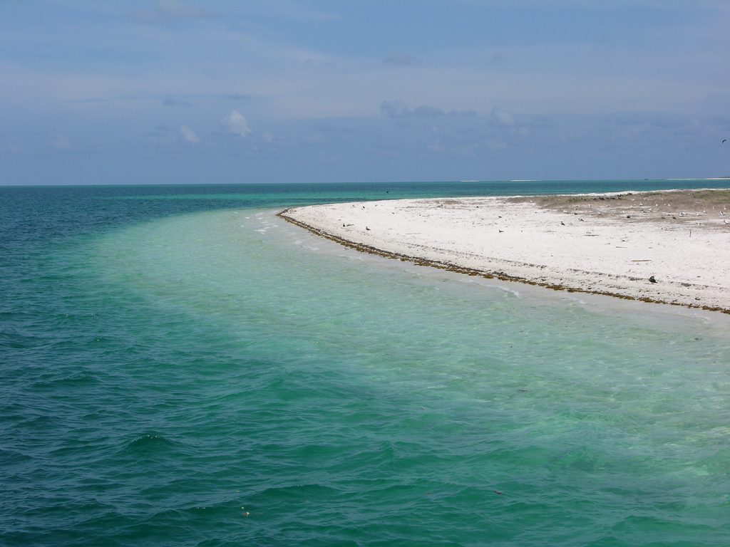 Arrecife Alacranes, una joya en las costas Yucatecas