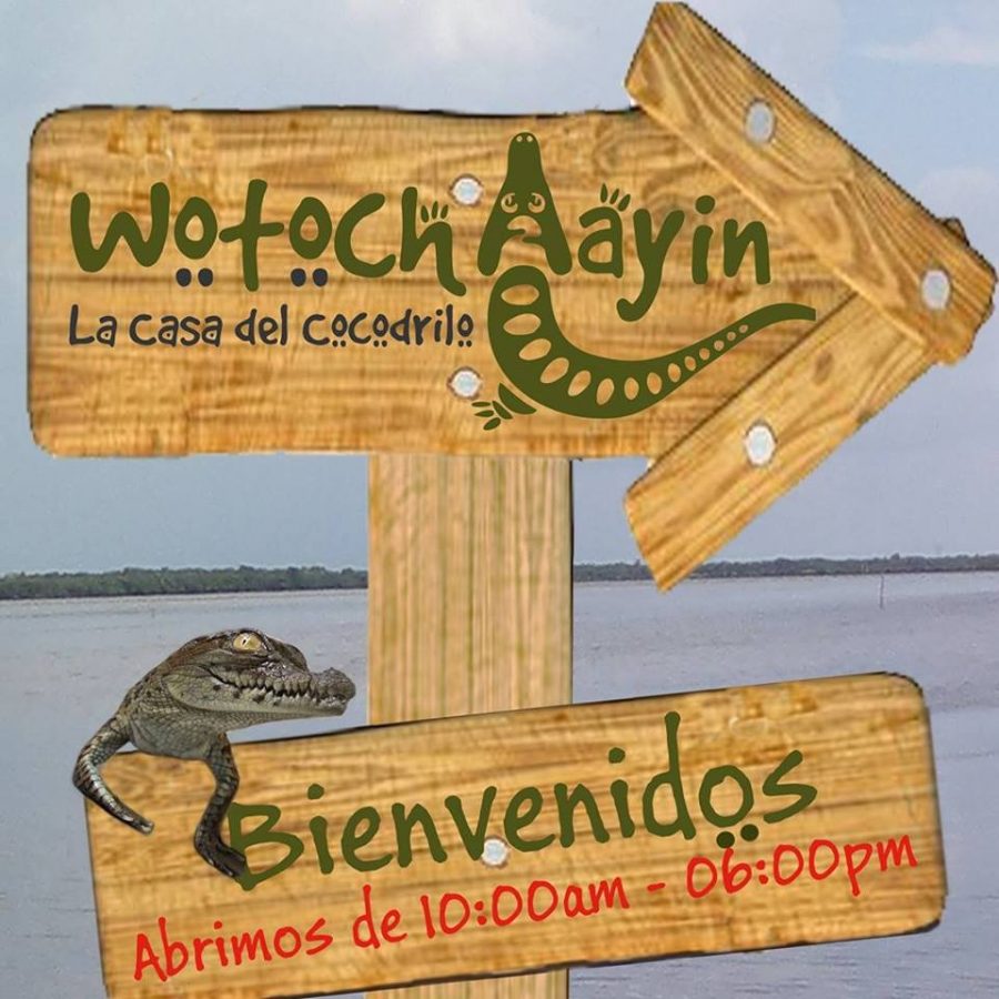 Conoce Isla Arena en Campeche