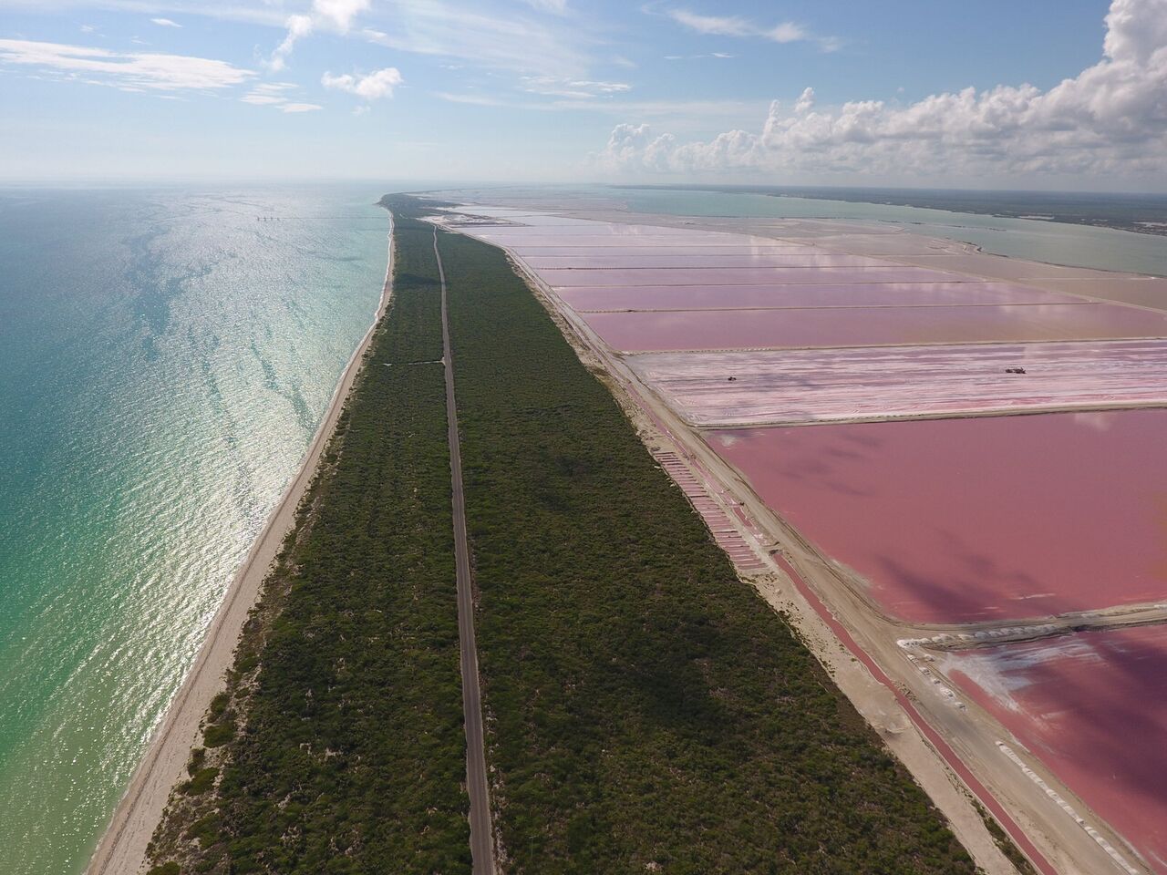 Las coloradas, un paraíso en las costas Yucatecas que debes visitar