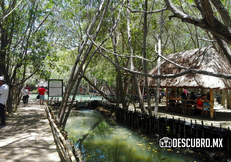 Visita a la reserva ecológica El Corchito en Progreso
