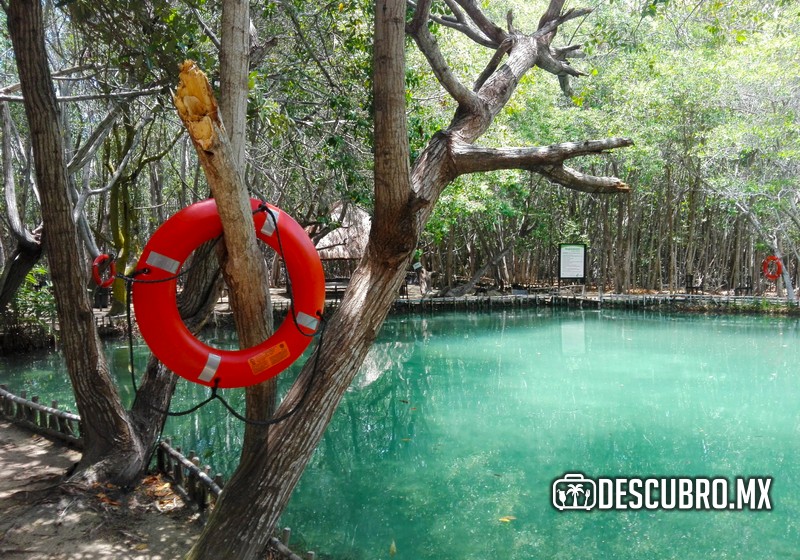 Visita a la reserva ecológica El Corchito en Progreso