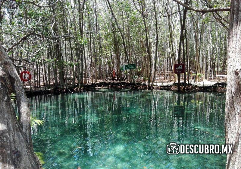 Visita a la reserva ecológica El Corchito en Progreso