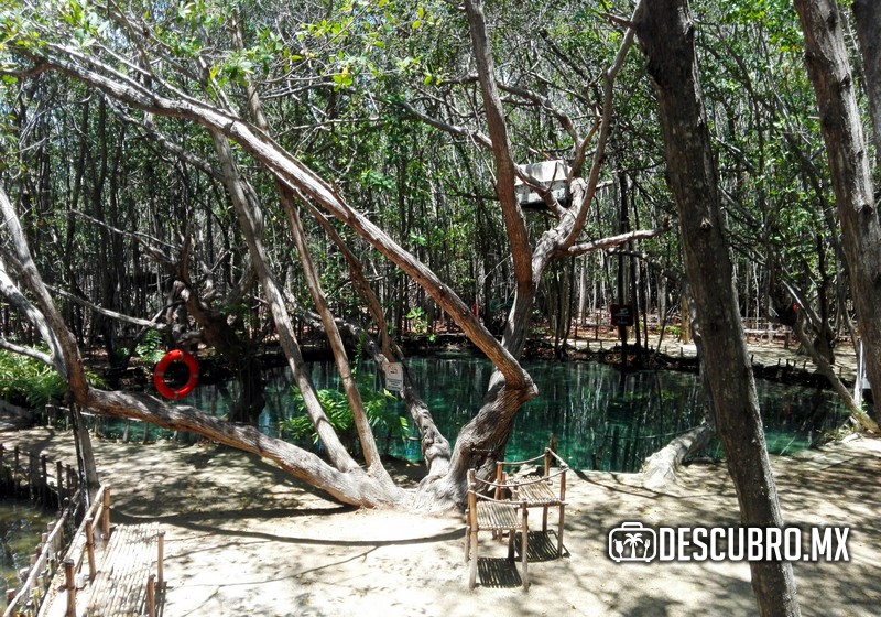 Visita a la reserva ecológica El Corchito en Progreso