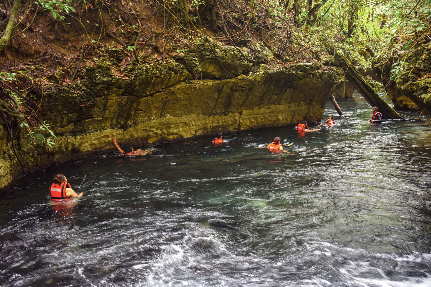 Conoce algunas actividades para realizar en Tabasco
