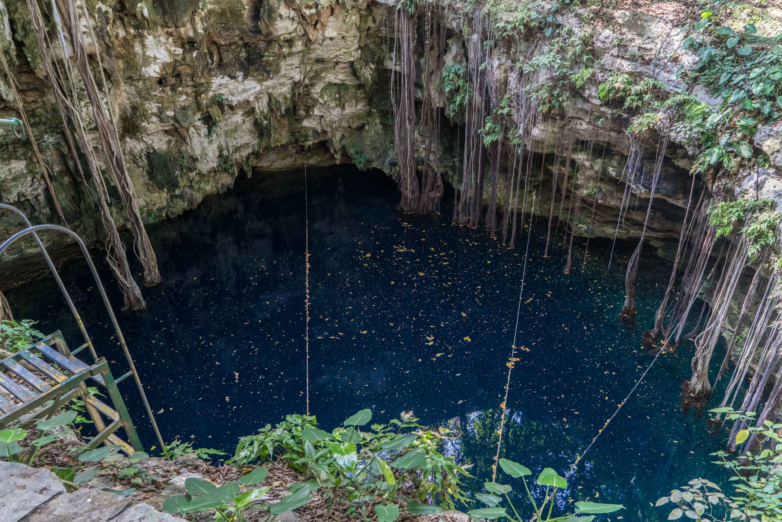 Diez cenotes para huir del calor de Mérida ¡te encantarán!