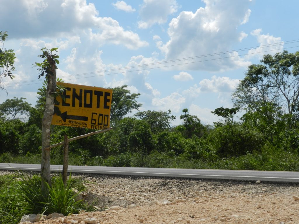 Disfruta de la naturaleza en el cenote Choj-Há, cerca de Xcan