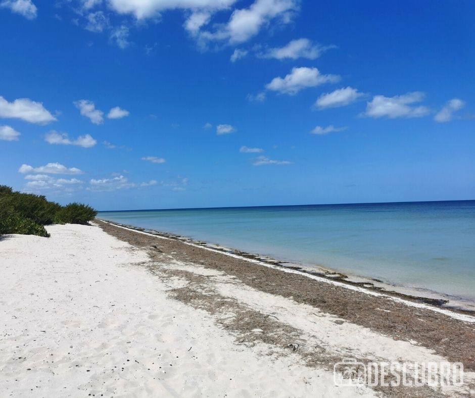 ¿Qué hacer en San Crisanto? - Descubro