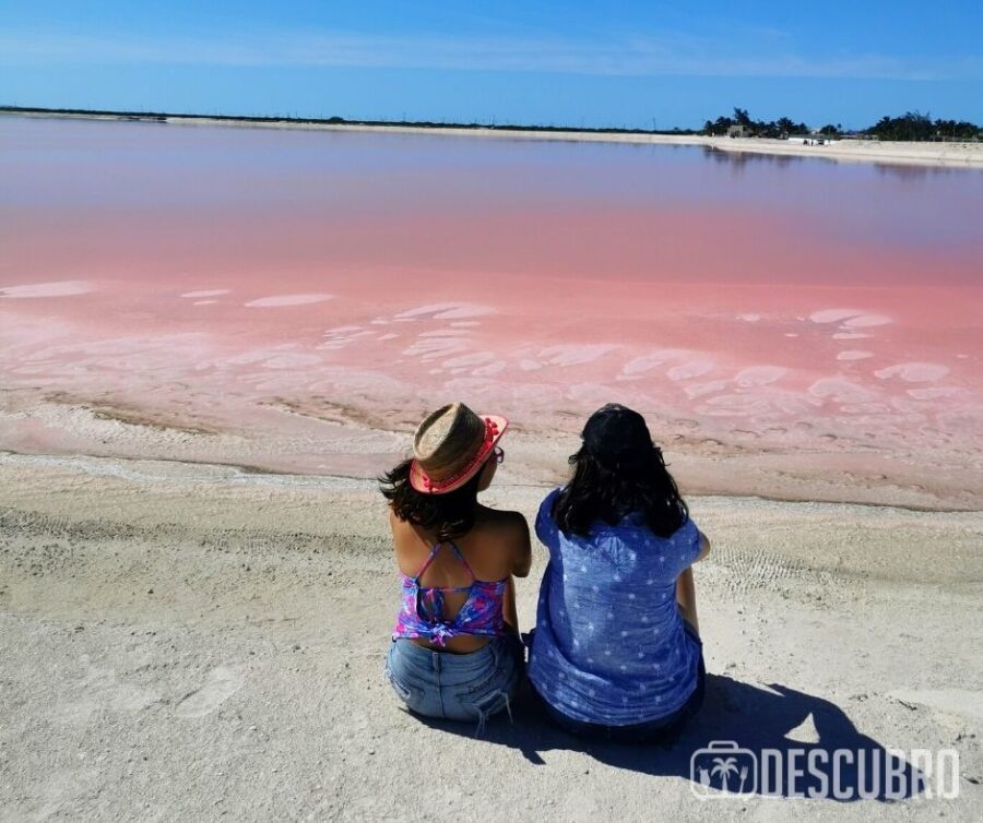 ¿Qué hacer en Las Coloradas? Las playas rosas de Yucatán - Descubro