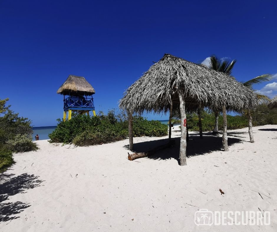 ¿Qué hacer en San Crisanto? - Descubro