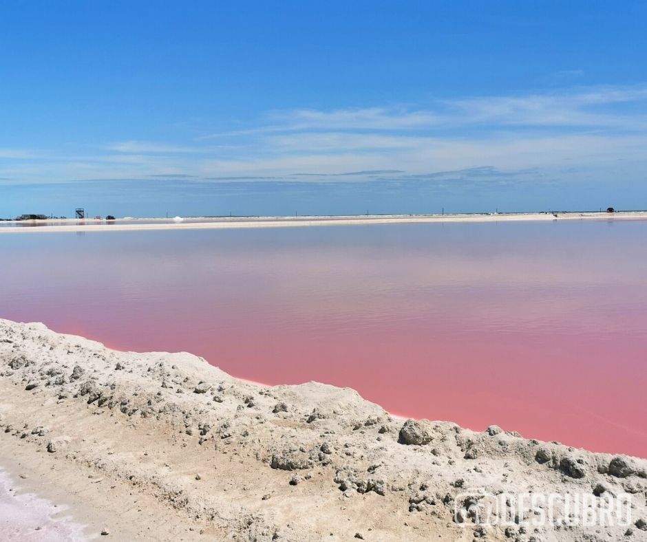 ¿Qué hacer en Las Coloradas? Las playas rosas de Yucatán - Descubro