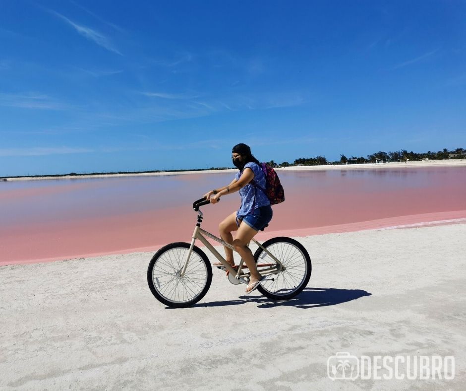 ¿Qué hacer en Las Coloradas? Las playas rosas de Yucatán - Descubro