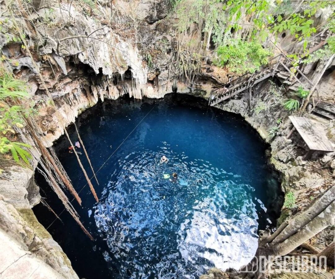Cenotes cerca de Mérida que puedes visitar solo o con amigos