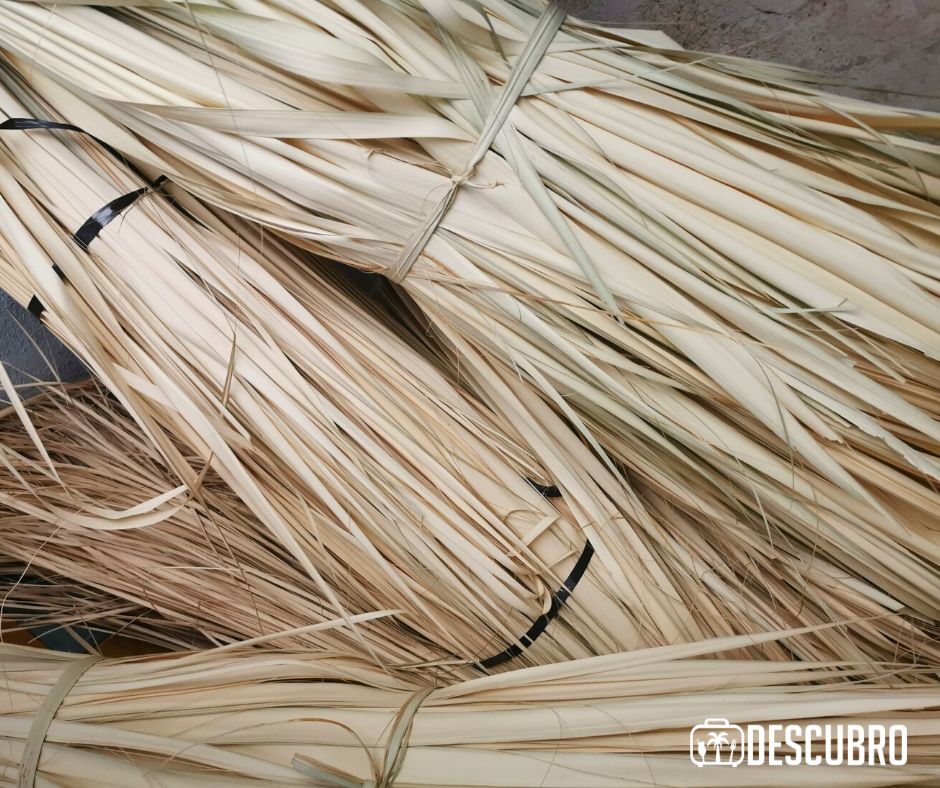 Halachó y sus artesanías de palma de huano - Descubro