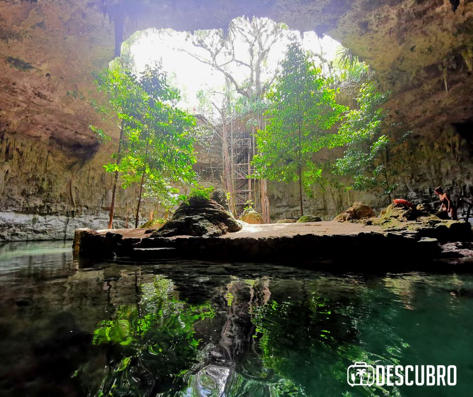 Diez cenotes para visitar cerca de Valladolid ¡Conócelos!