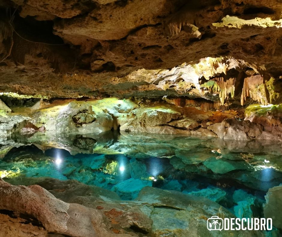 Cenotes cerca de Mérida que puedes visitar solo o con amigos