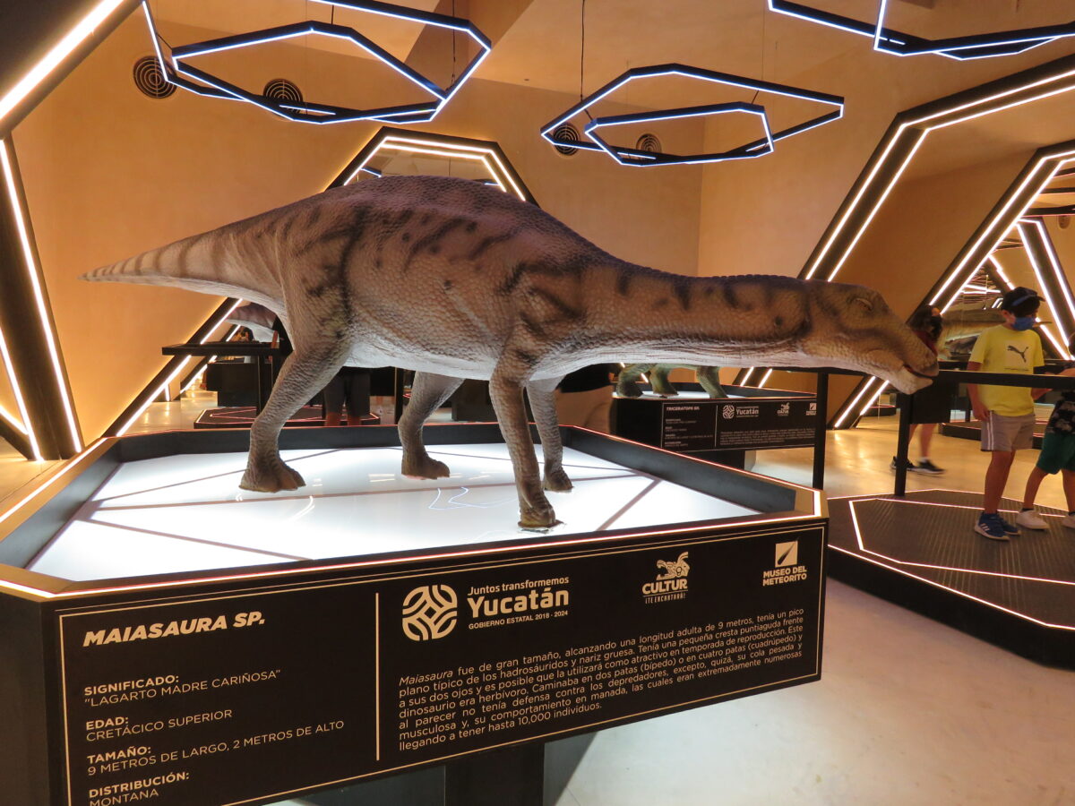 Museo del Meteorito en Yucatán, costos y horarios para visitar