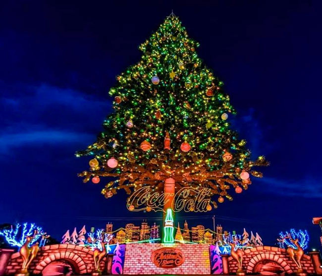 Arranca la navidad, encendido de árboles navideños en Mérida