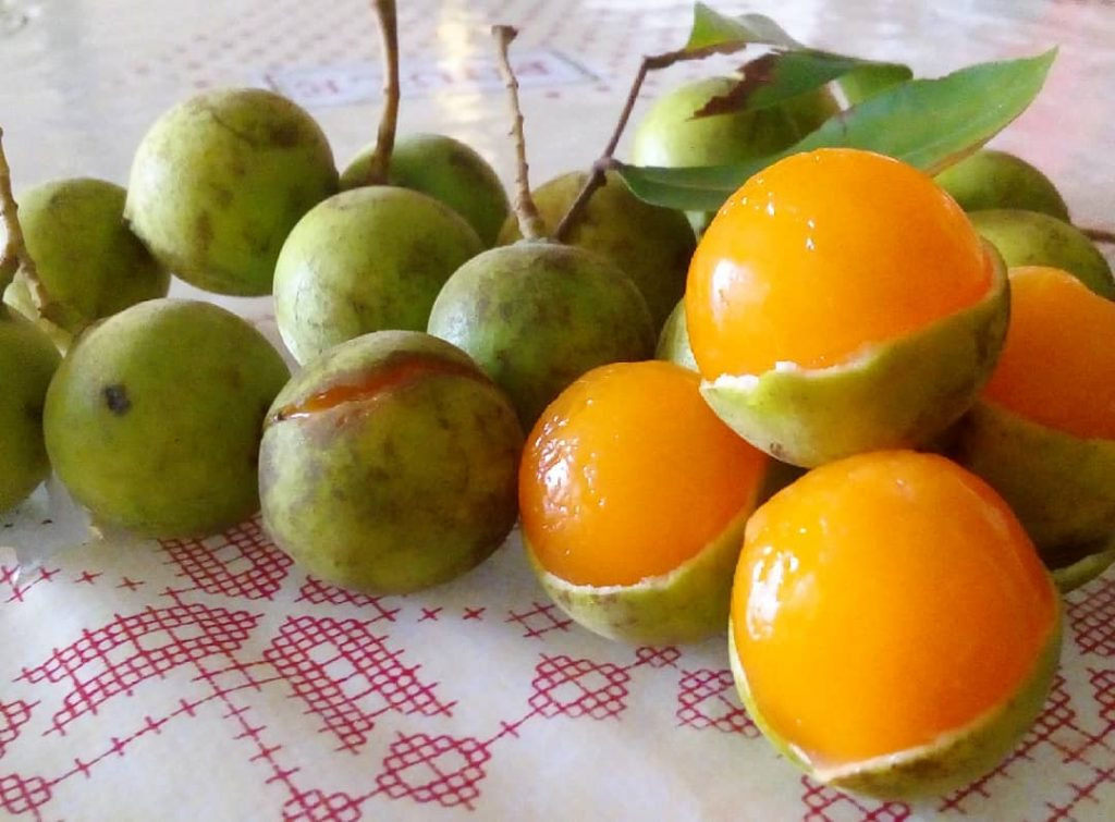 Deliciosas frutas exóticas de Yucatán