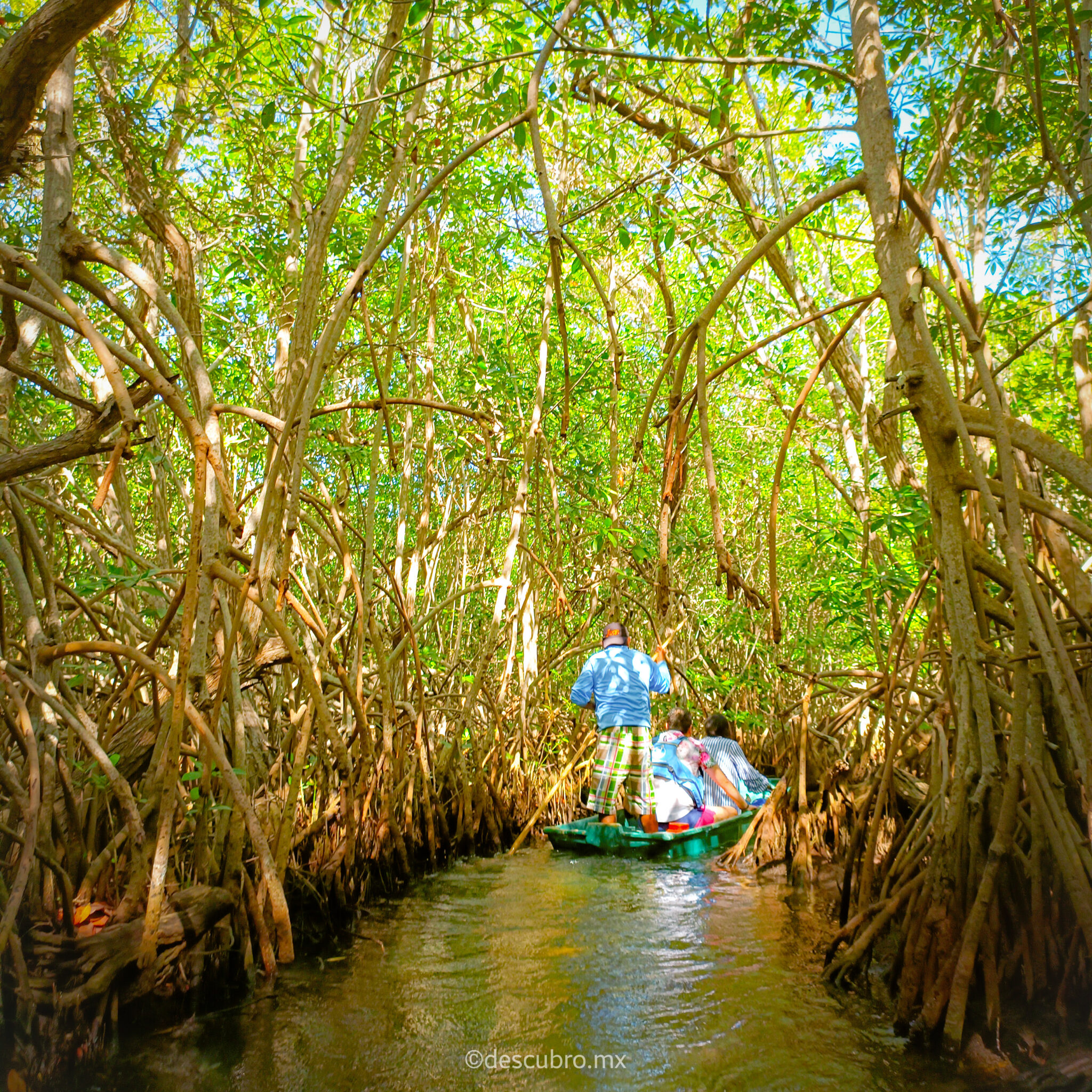 Descubre Sisal, una gran opción para disfrutar este Pueblo Mágico