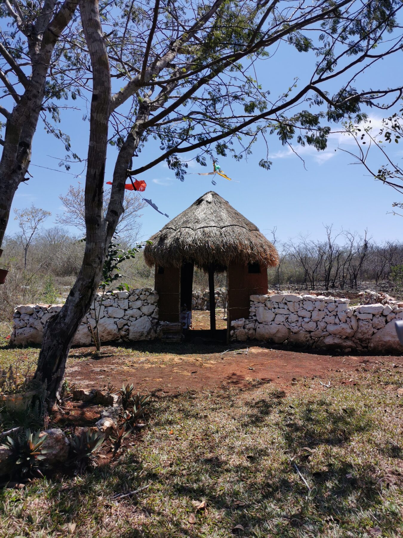 Guía de Viaje. Qué hacer en Homún, Yucatán - Descubro