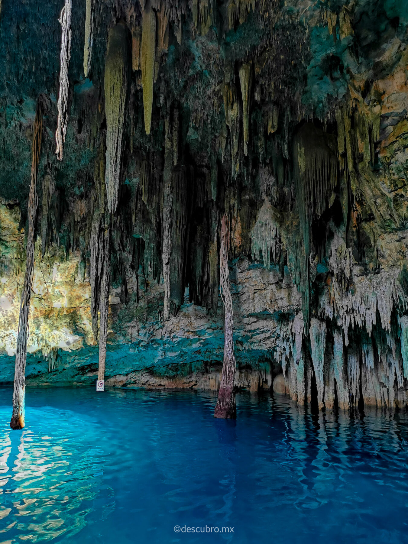 Cenote Santa Bárbara, increíble experiencia en Homún