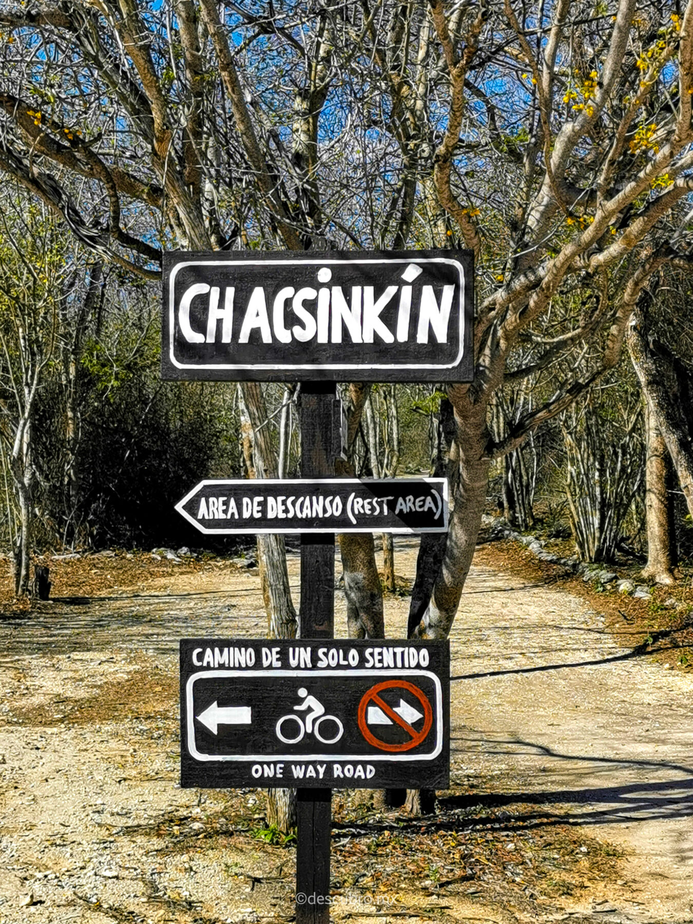 Cenote Santa Bárbara, increíble experiencia en Homún