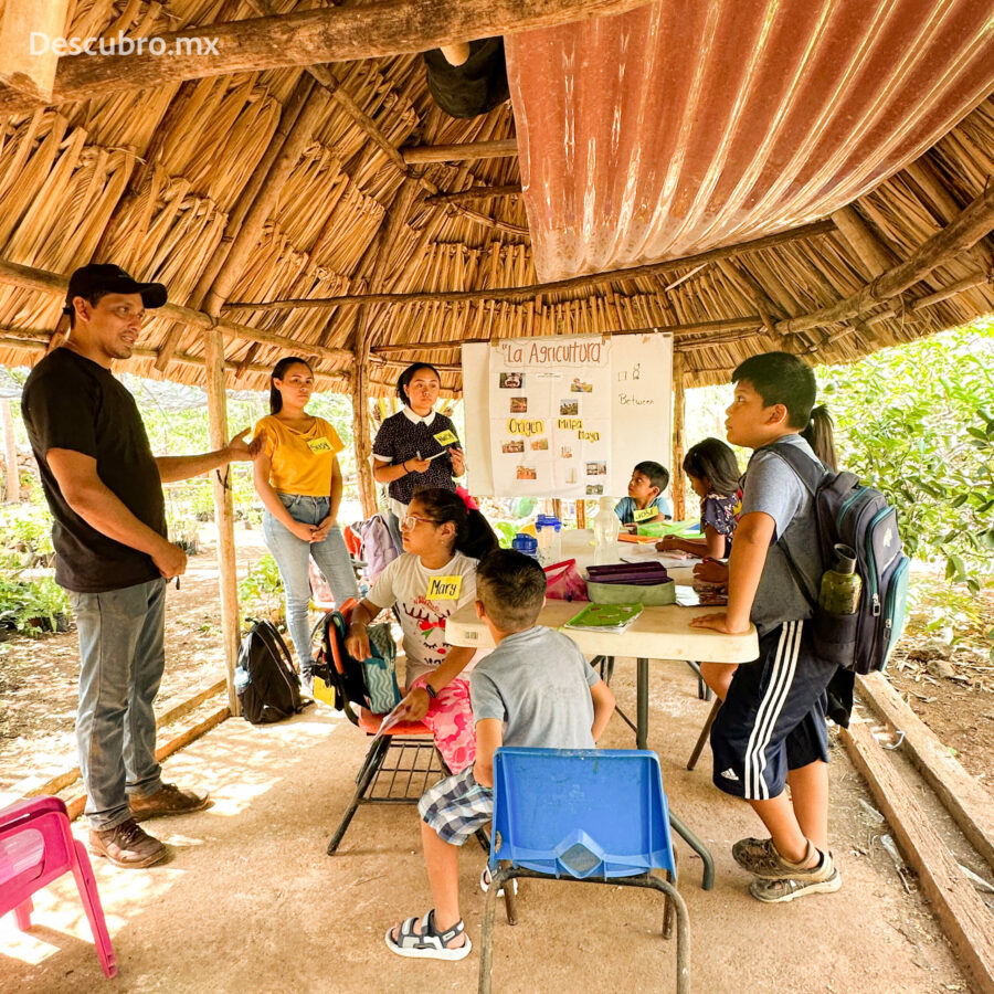 Conoce Solar Maya U lu'umil Kuxtal, aprende y cultiva tu alimento