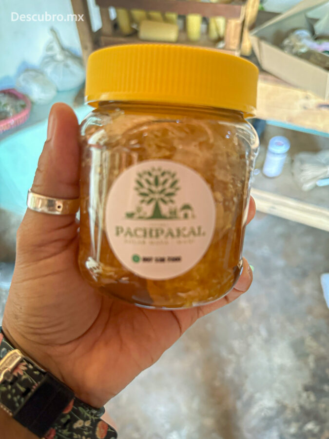 Abejas Meliponas beecheii, abeja sagrada Maya