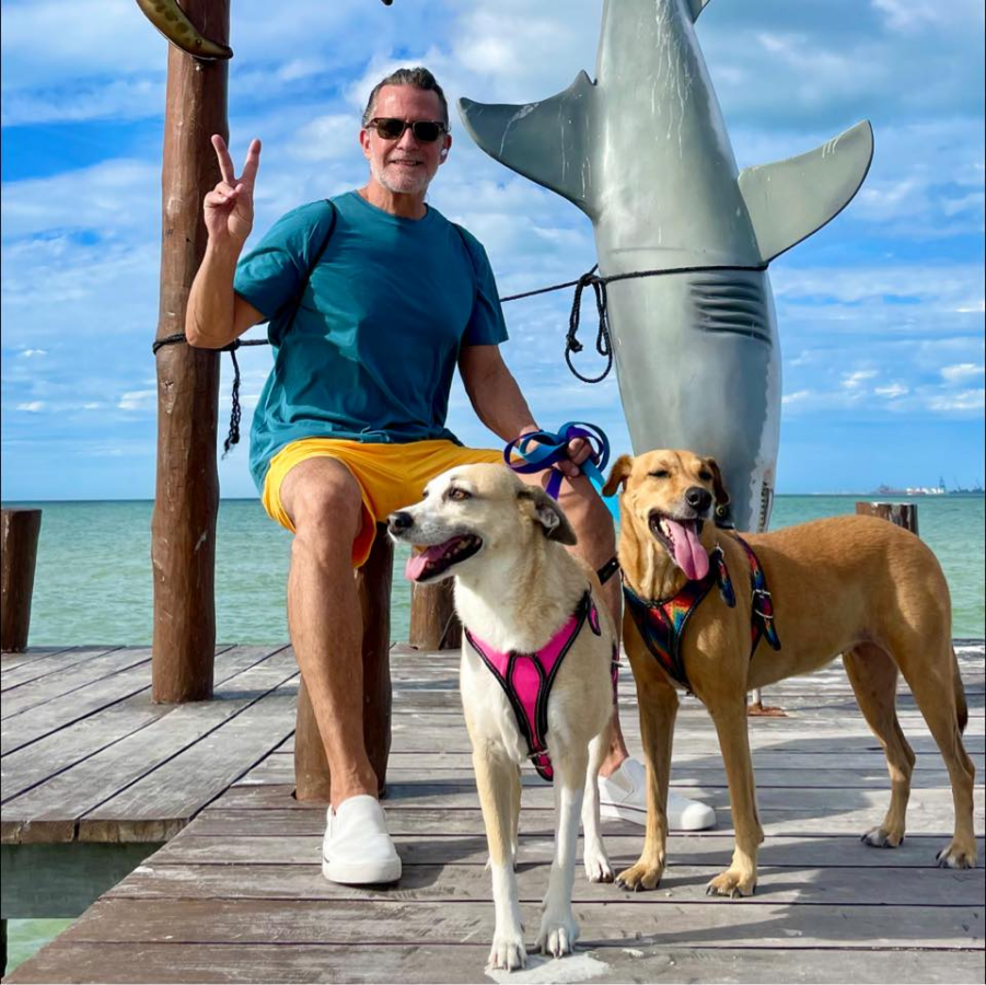 Perro Malix, qué es y por qué lo llamamos así en Yucatán